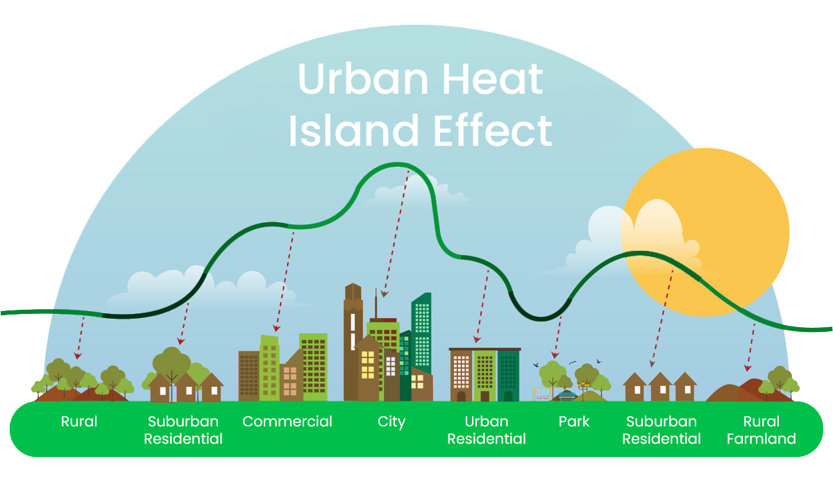 Microclimate modeling: what it is and why it matters | One Click LCA